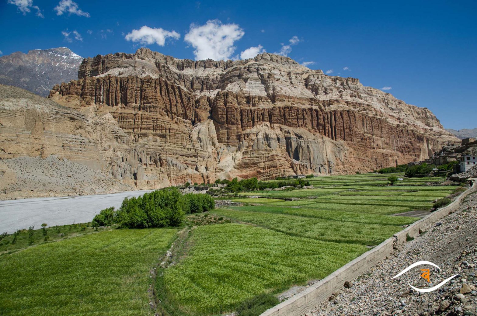 Chele - Raw Photo Nepal